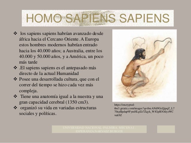 Evolución del homo sapiens