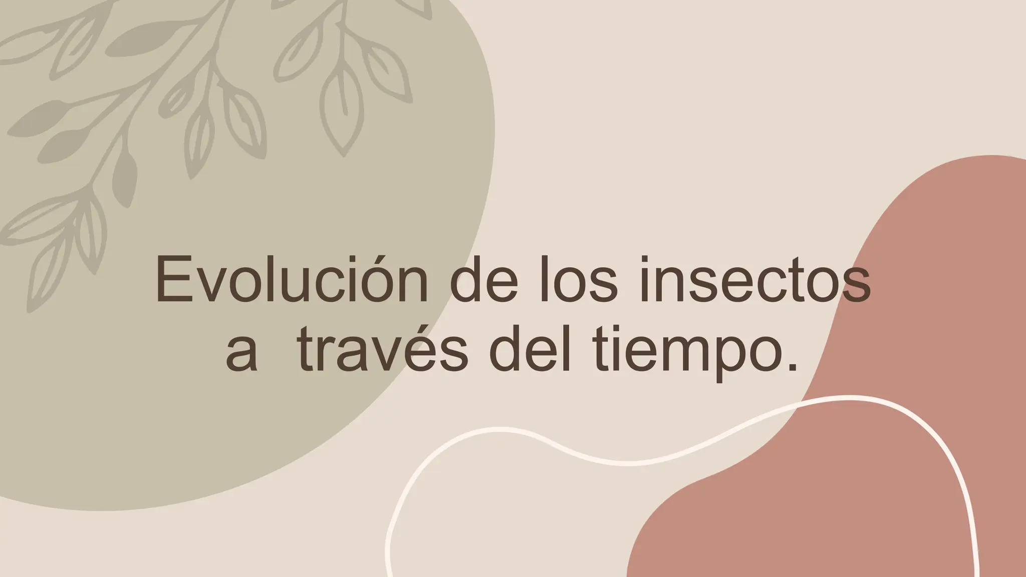Evolución de los insectos a través del tiempo.pptx