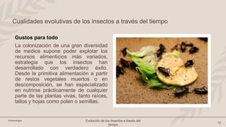 Evolución de los insectos a través del tiempo.pptx