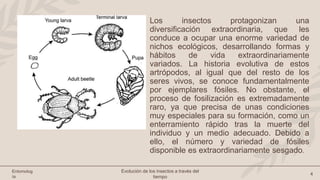 Evolución de los insectos a través del tiempo.pptx