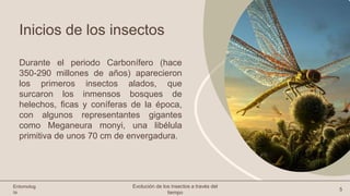Evolución de los insectos a través del tiempo.pptx