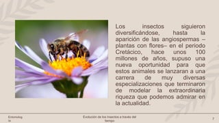 Evolución de los insectos a través del tiempo.pptx
