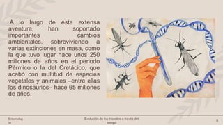 Evolución de los insectos a través del tiempo.pptx
