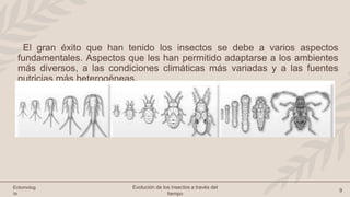Evolución de los insectos a través del tiempo.pptx