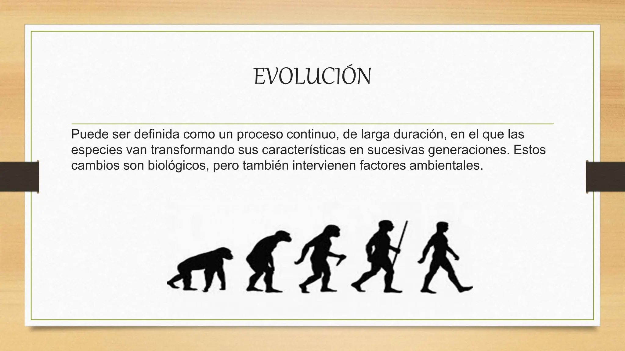 Evolución de los primates y homínidos fósiles al.pptx