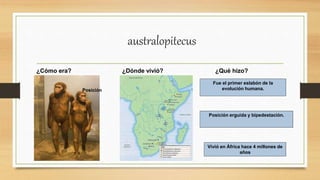 Evolución de los primates y homínidos fósiles al.pptx