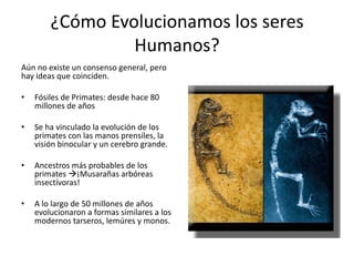 Evolución del ser humano | PPT