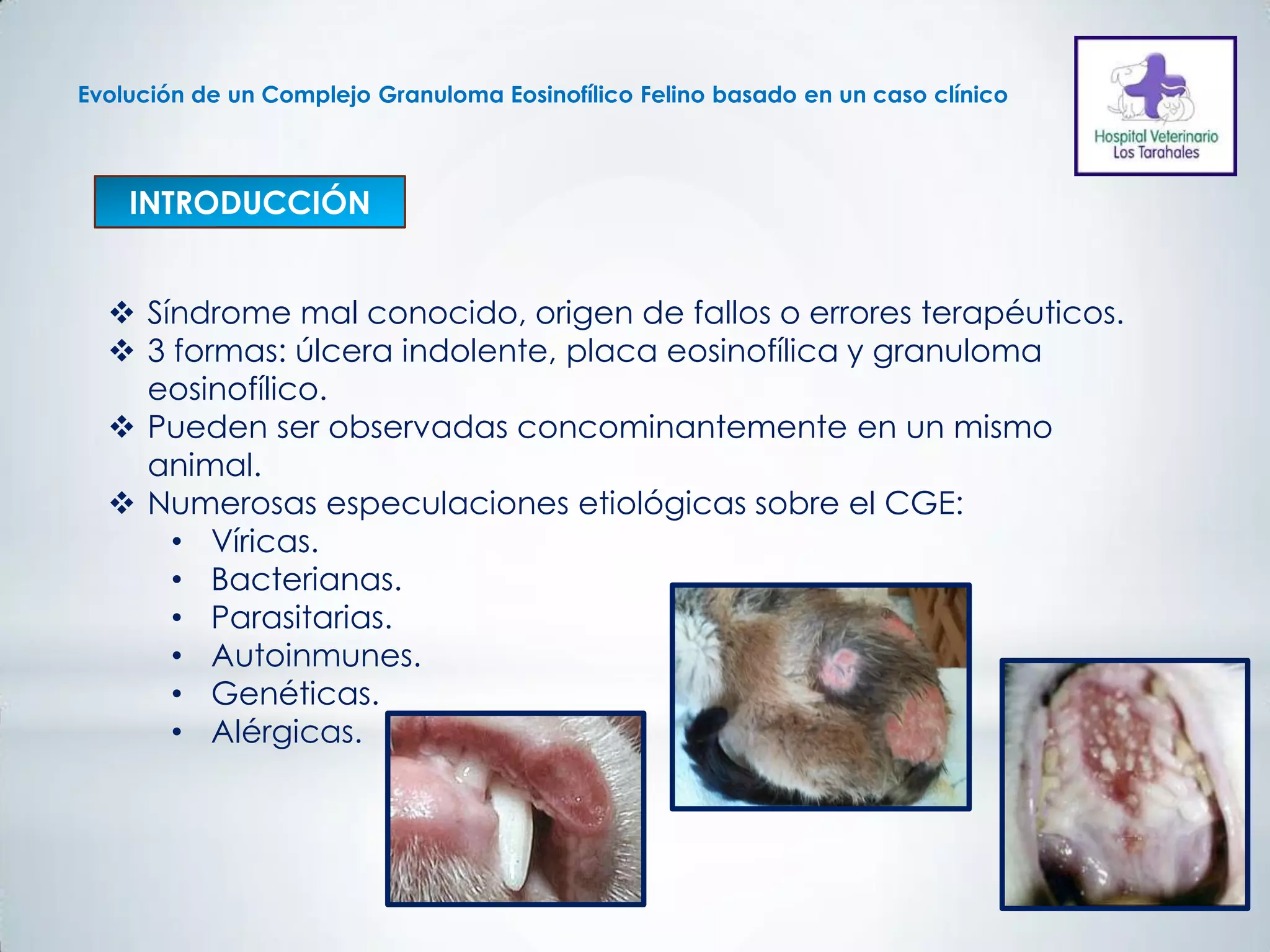 Evolución de un Complejo Granuloma Eosinofílico Felino basado en un ...