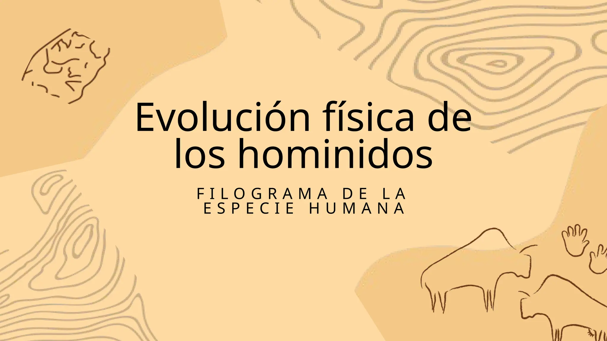 Evolución física de los homínidos y filograma del ser humano.pptx
