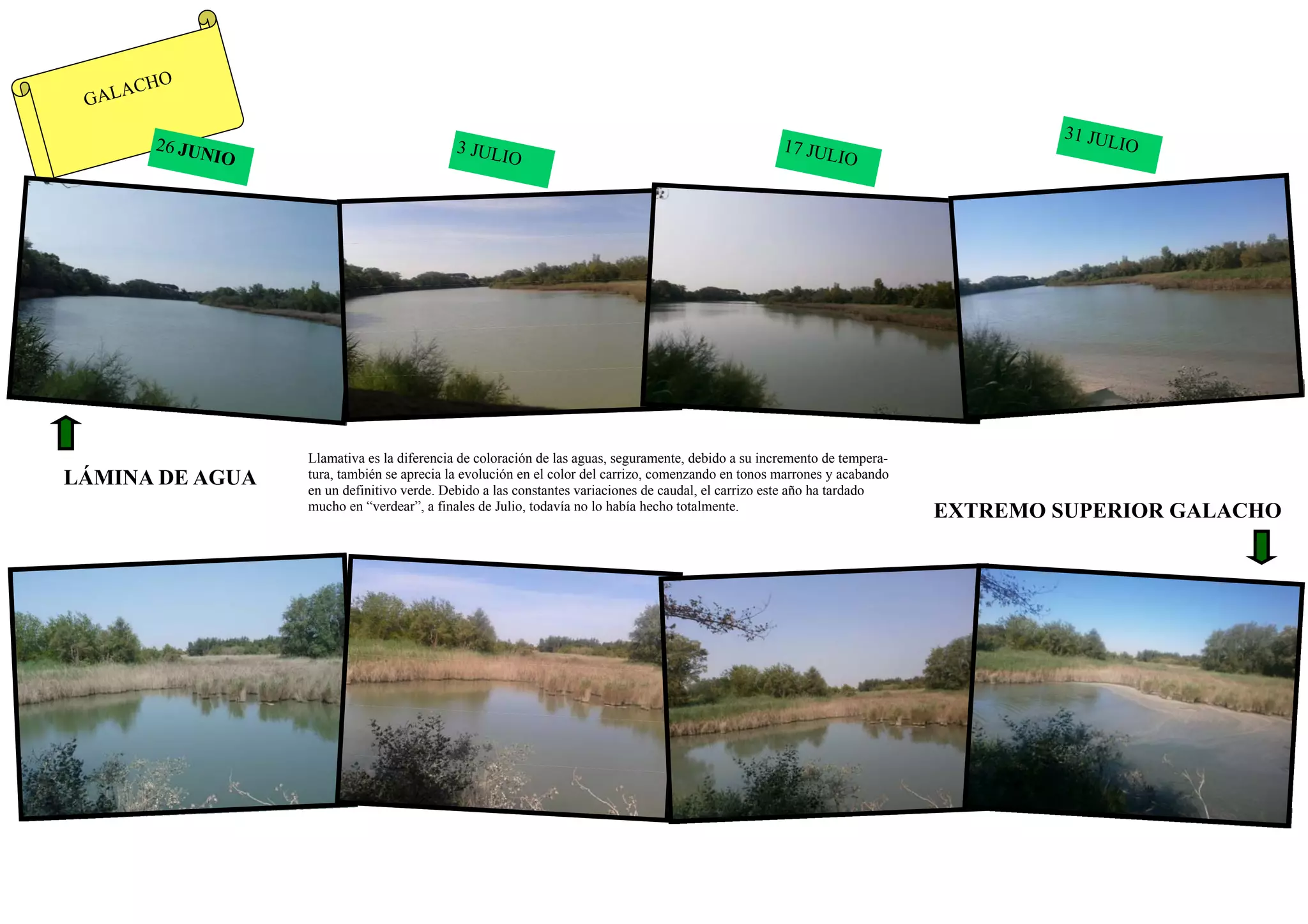 Evolución Galacho de La Alfranca. Reserva Natural Sotos y Galachos del ...