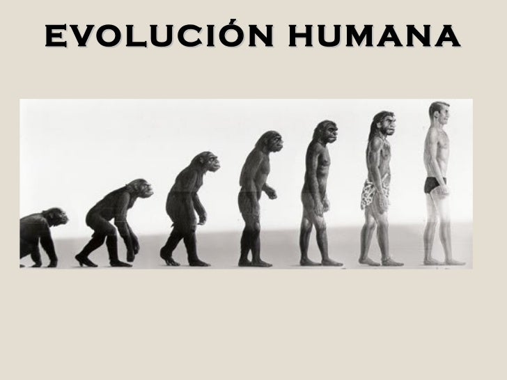 Evolucion Del Hombre Evolucion Del Hombre Evolucion Humana Evolucion Images Evolucion Del Hombre Evolucion Del Hombre Evolucion Humana Evolucion Images