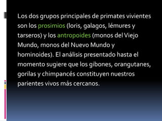 Evolución humana | PPSX