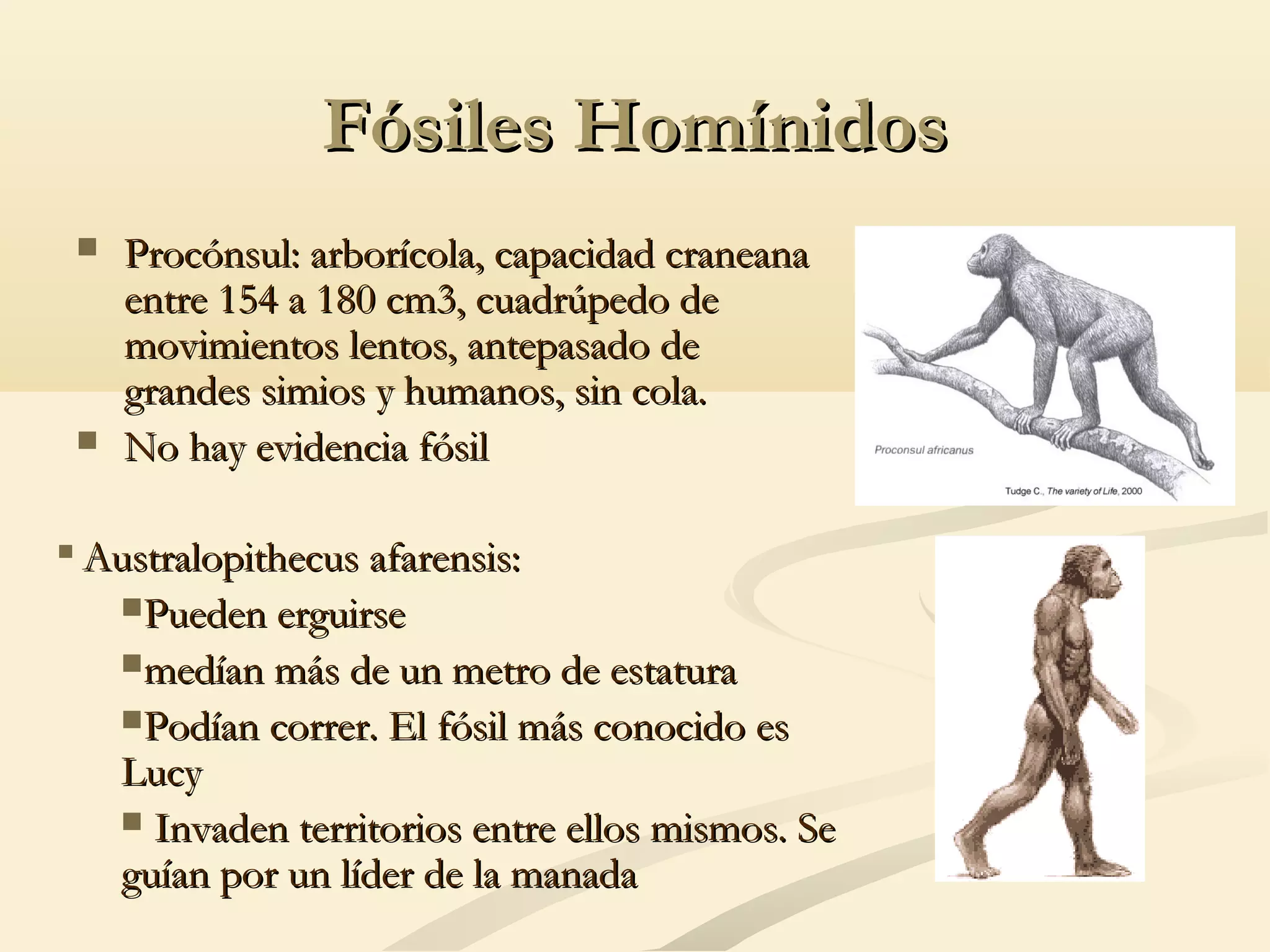 Evolución humana | PPT