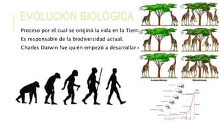 Evolución y Adaptación de los Seres Vivos | PPT