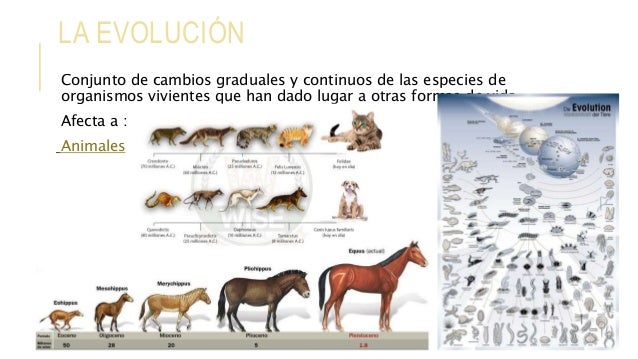 Evolución y Adaptación de los Seres Vivos