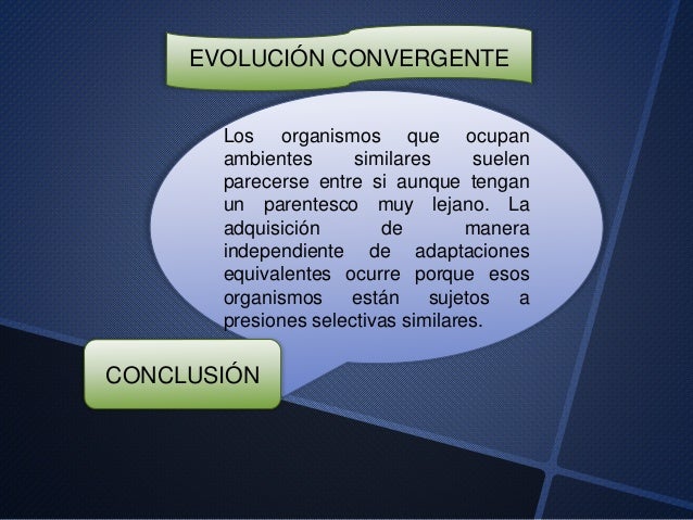 Convergente