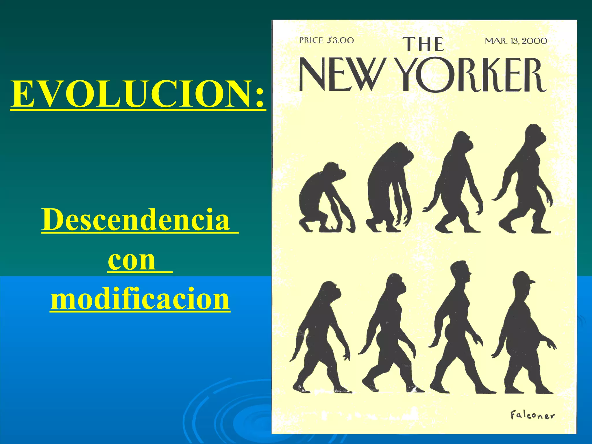 Evolucion darwin | PPT | Genetics | Science