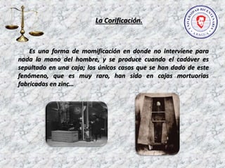 Evolucion del cadaver presentacion | PPTX