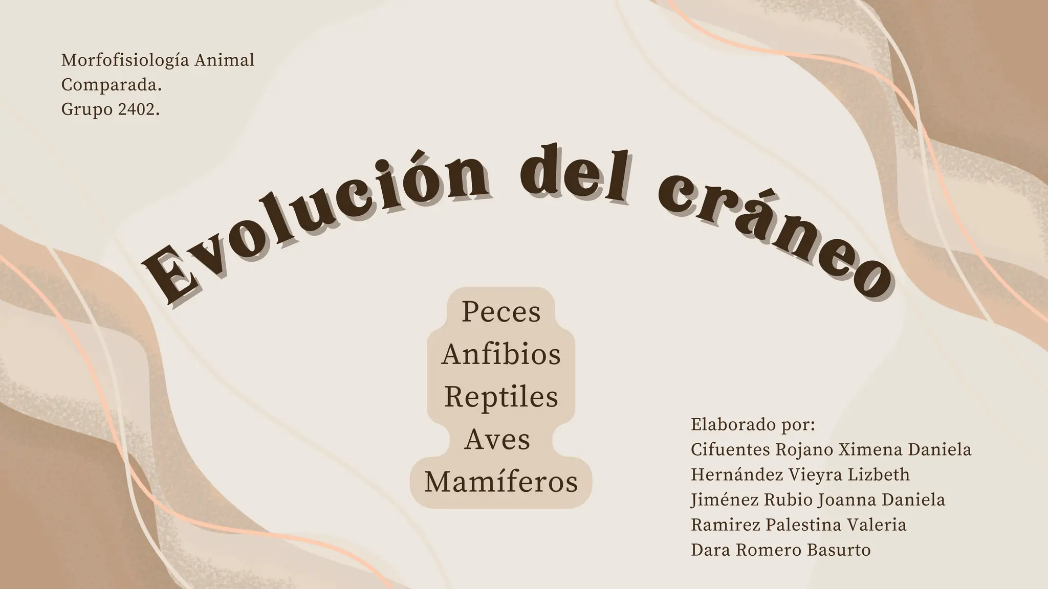 Evolución del cráneo en vertebrados .pdf
