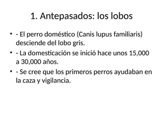 Evolucion de los Perros hasta la actualidad.pptx