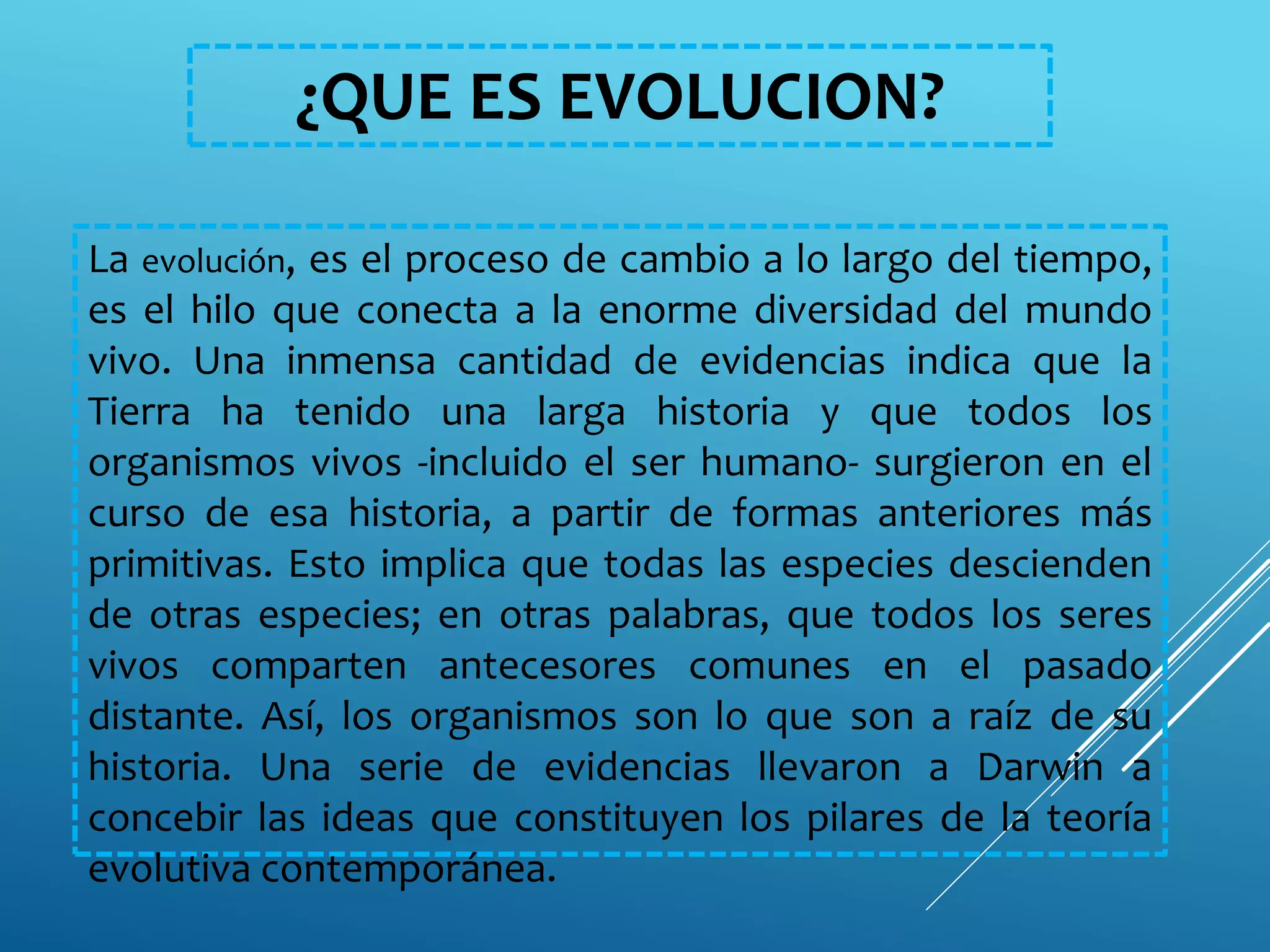 Evolución mono al hombre | PPTX | Biological Sciences | Science