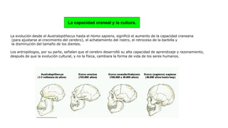 Evolución humana 1 primero B.pptx