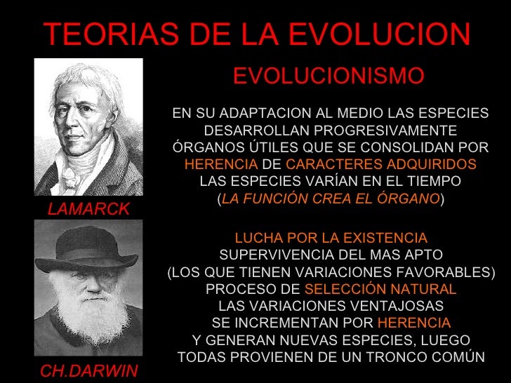 Teorias de la evolucion