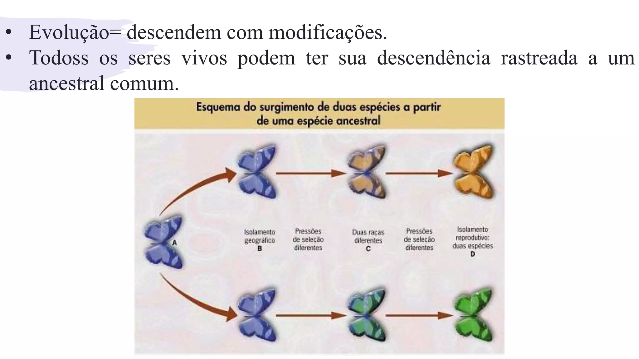 Evolução- evidencias da evolução.pptx