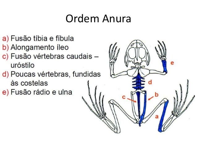 BIOLOGIANURA: junho 2017