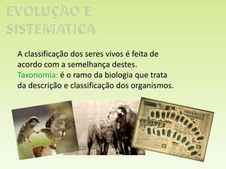 Evolução e sistemática | PPSX