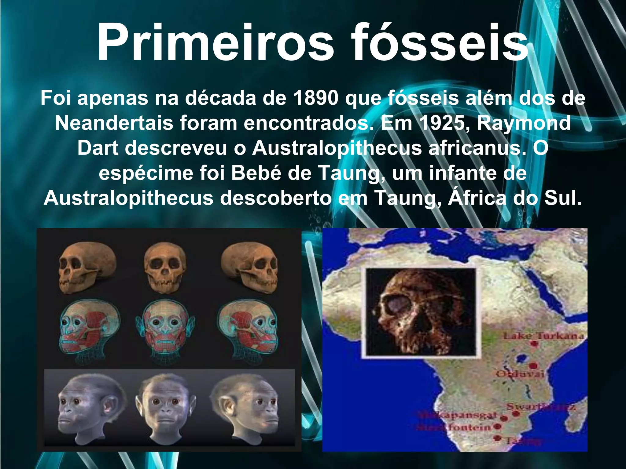 Evolução Humana | PPTX