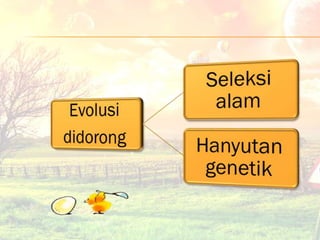 Evolusi | PPTX