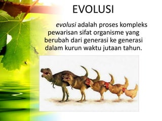 Biologi Evolusi | PPTX