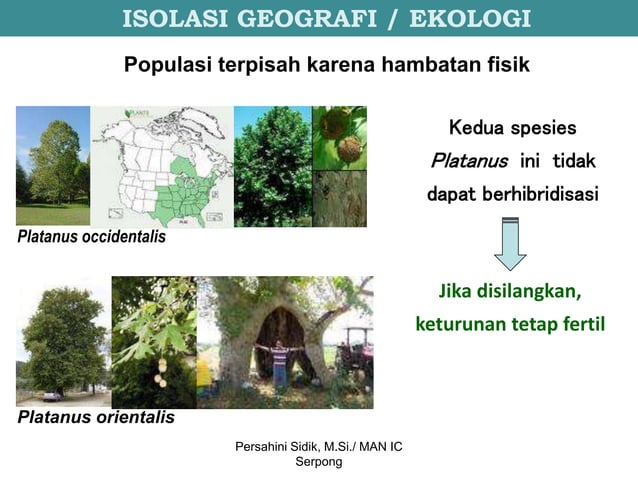 EVOLUSI-2.ppt biologi sma/k/man kelas 10,11,12 | PPT