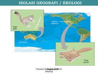EVOLUSI-2.ppt biologi sma/k/man kelas 10,11,12 | PPT