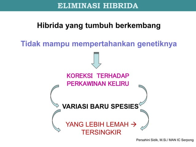 EVOLUSI-2.ppt biologi sma/k/man kelas 10,11,12 | PPT