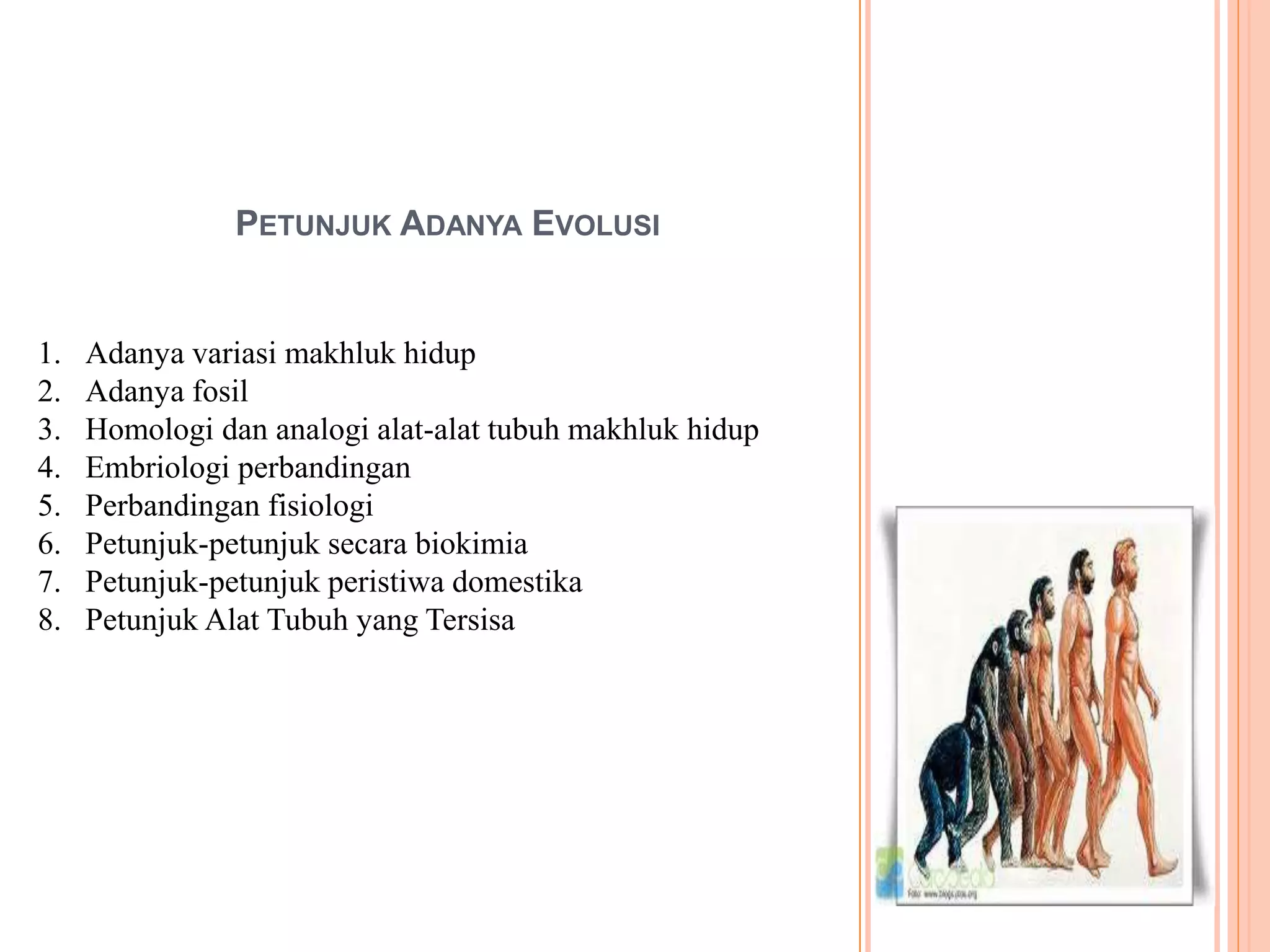 Evolusi.ppt.pptx