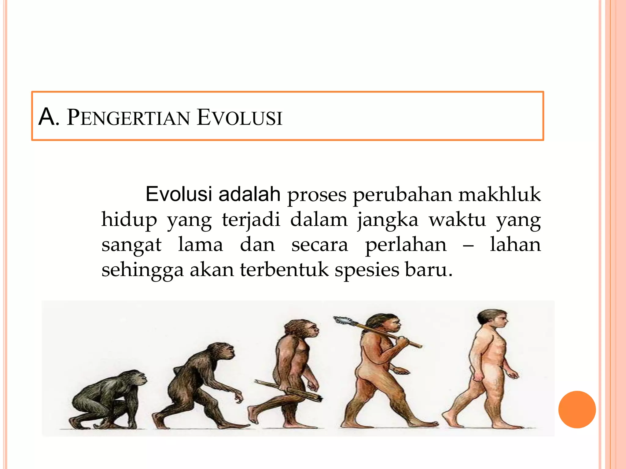 Evolusi.ppt.pptx