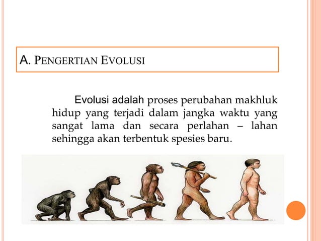 Evolusi.ppt.pptx
