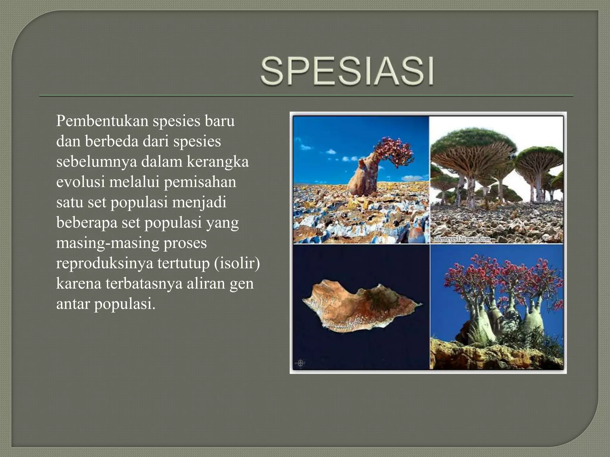 EVOLUSI...SPESIES_SPESIASI.pptx