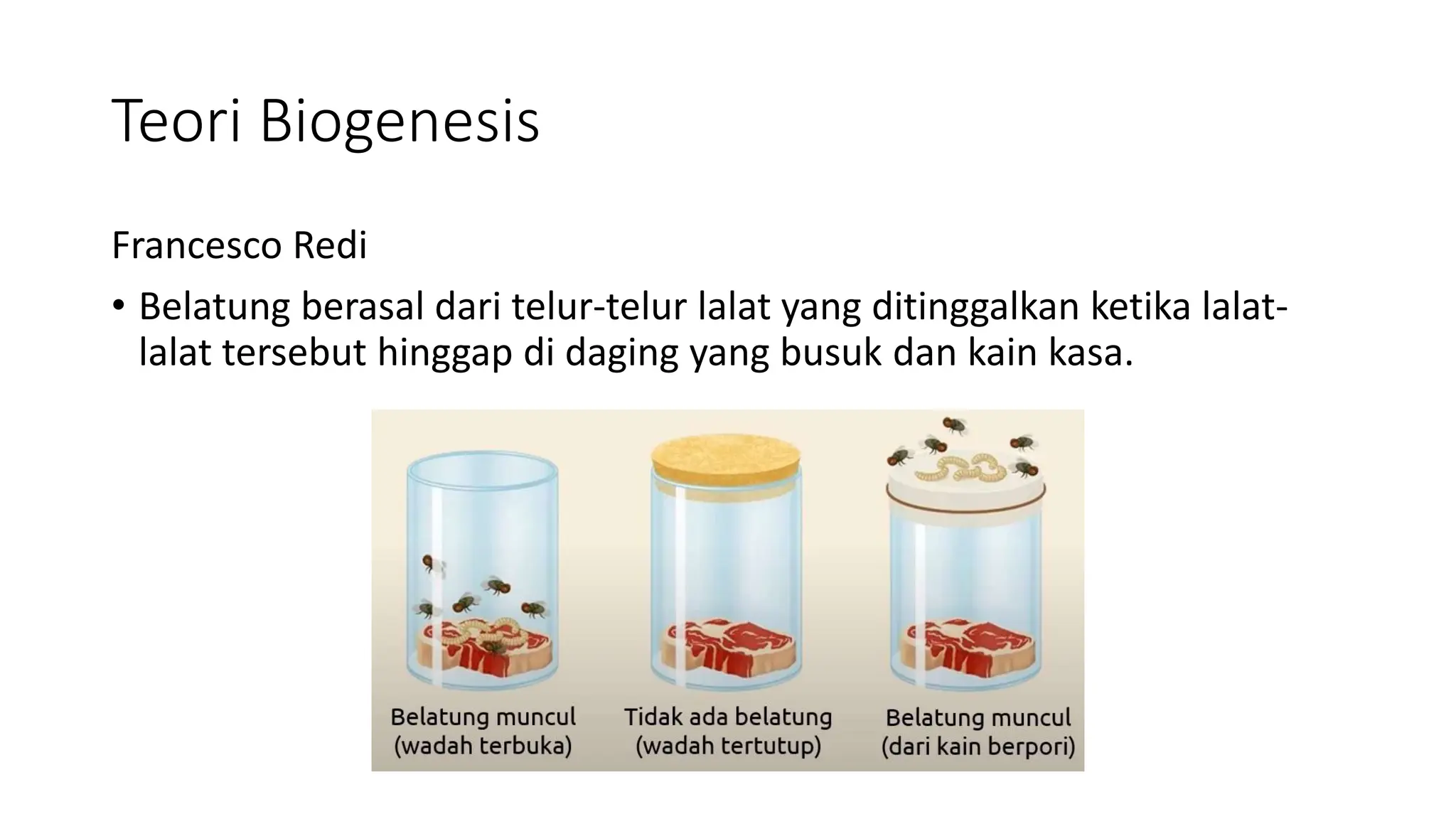 Evolusi Dunia Mapel Biologi Kelas 12.pptx