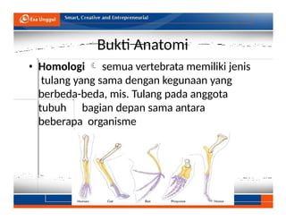 Teori evolusi materi kelas XII semester ganjil | PPTX