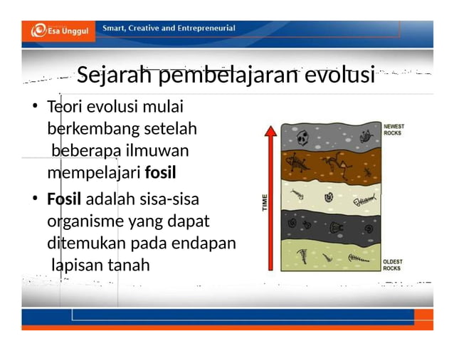 Teori evolusi materi kelas XII semester ganjil | PPTX