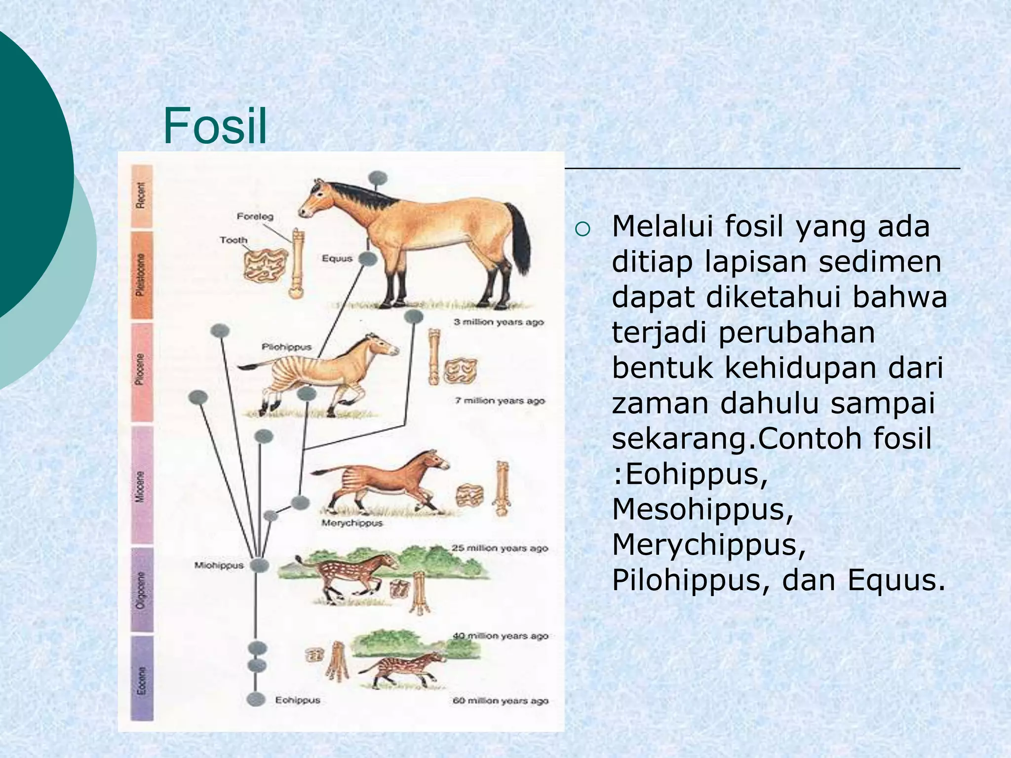 Evolusi dan Asal Usul Kehidupan | PPT