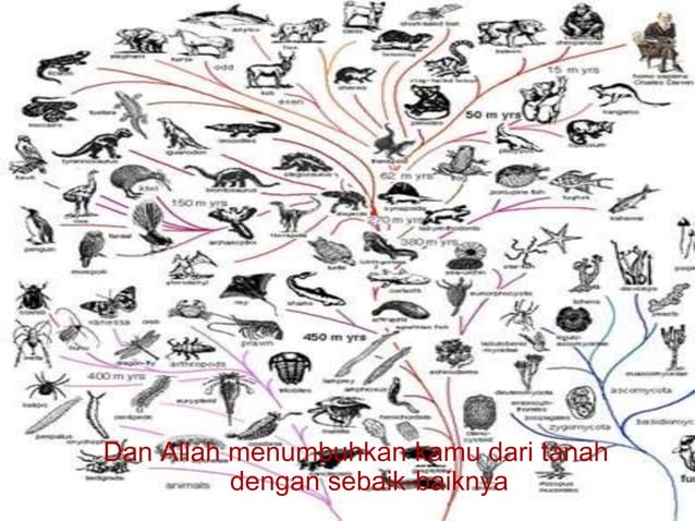 Evolusi dan Asal Usul Kehidupan | PPT