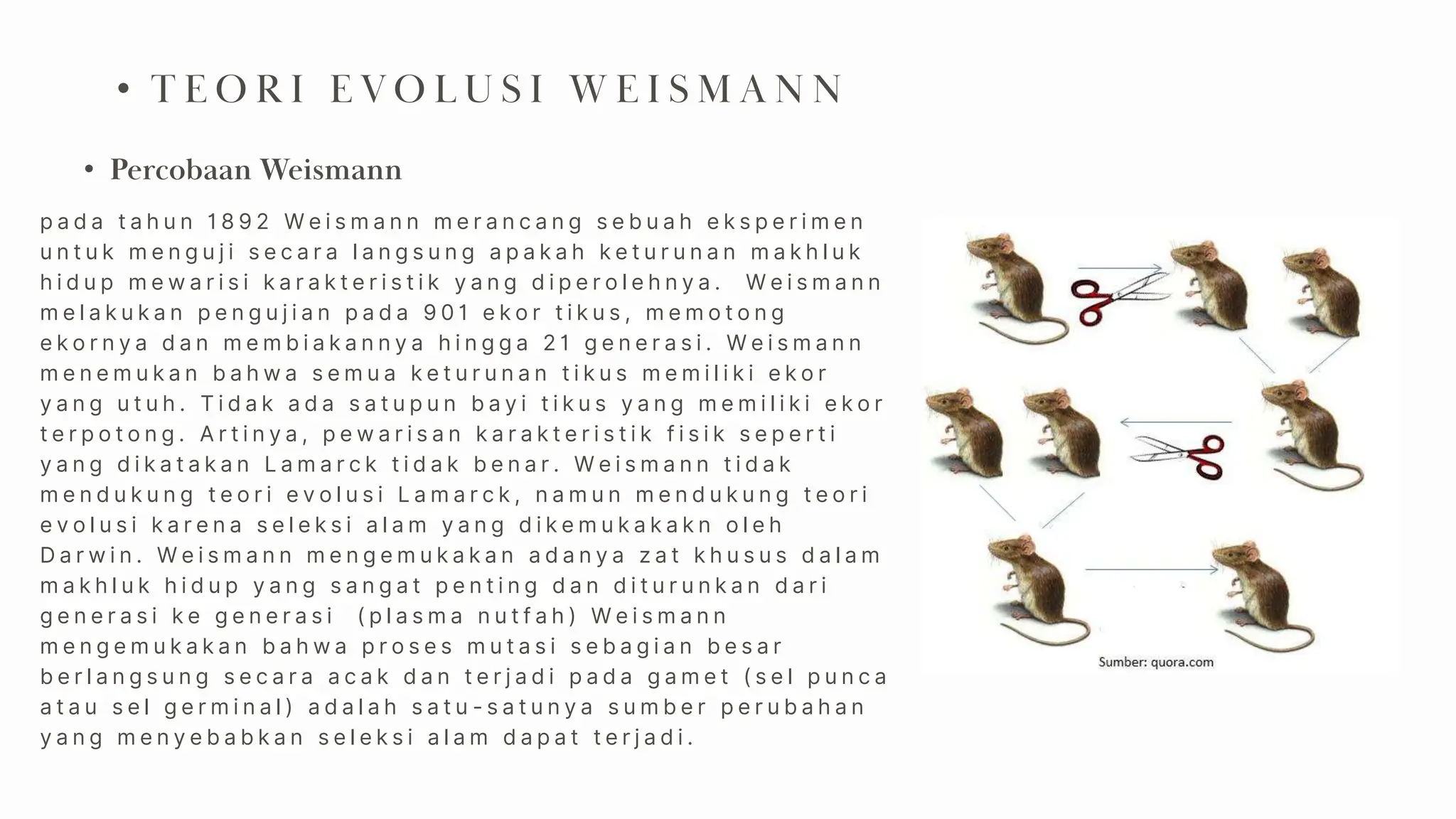 Evolusi untuk sebuah kelompok 1 ya gitu la | PPT