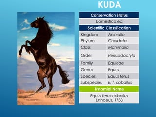 Mengenal bagaimana evolusi kuda pada pembelajaran evolusi.pptx