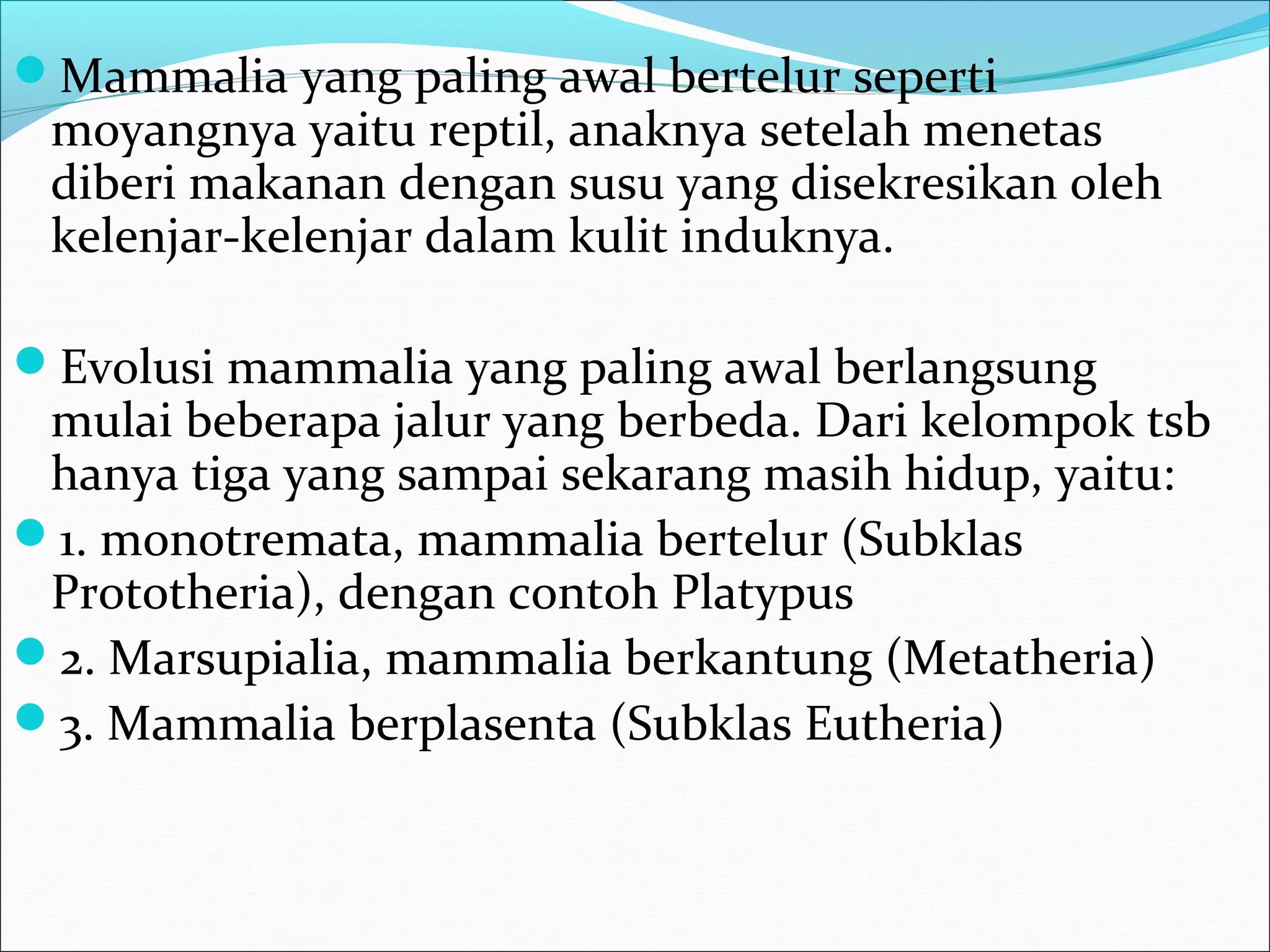 Evolusi Mammalia | PPT