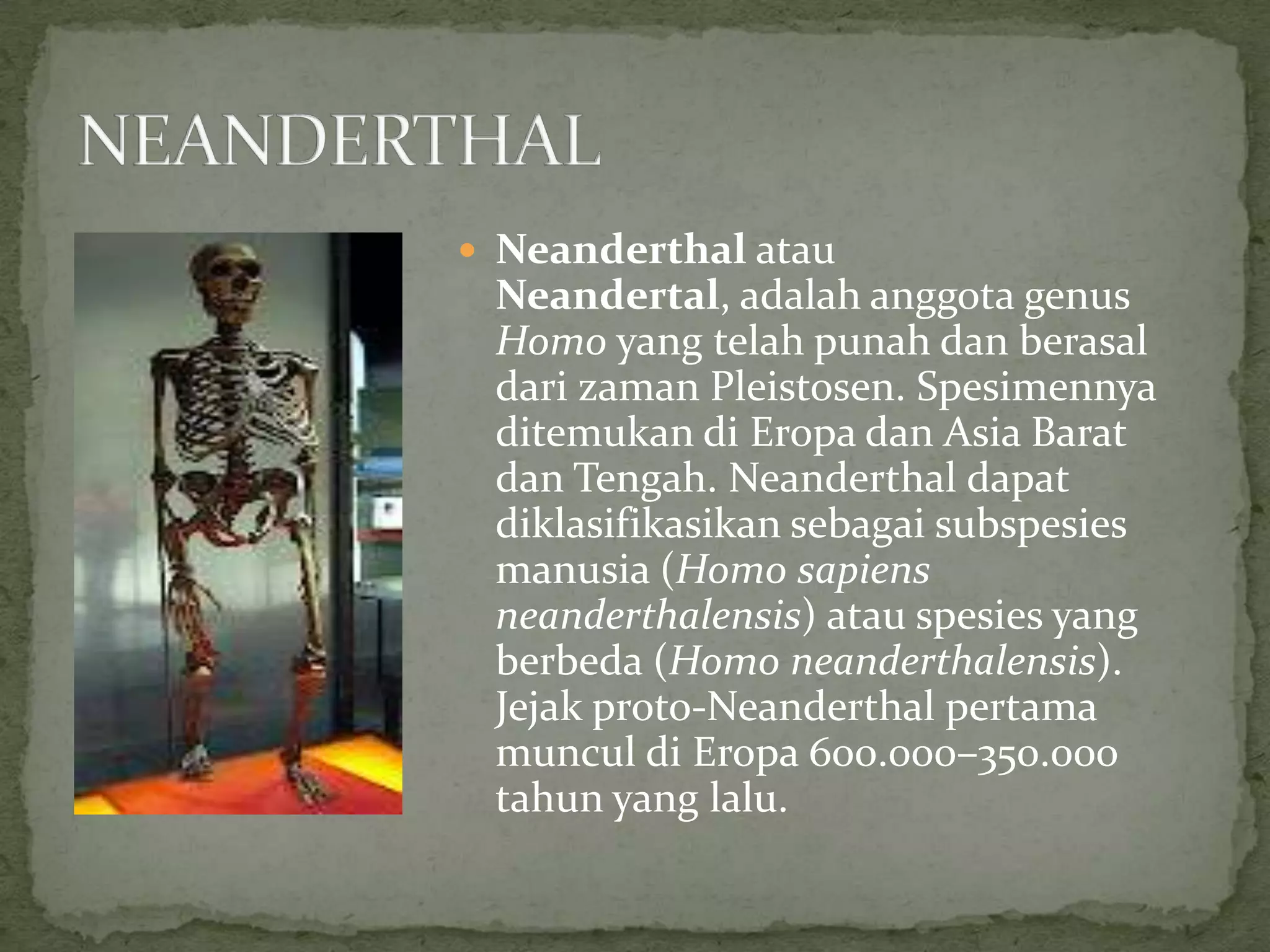 Evolusi manusia | PPTX
