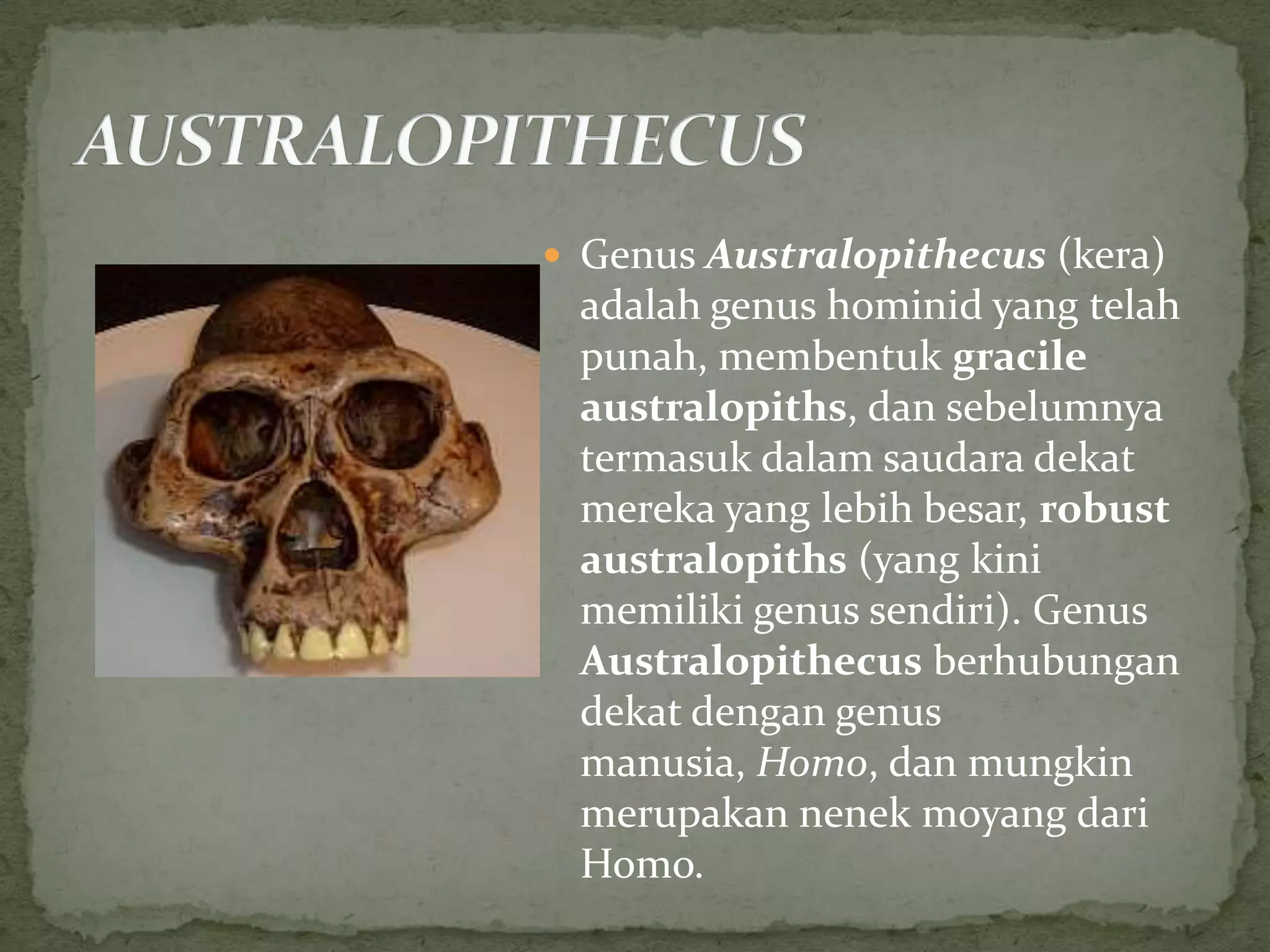 Evolusi manusia | PPTX